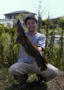 同じくKENKENさんです。