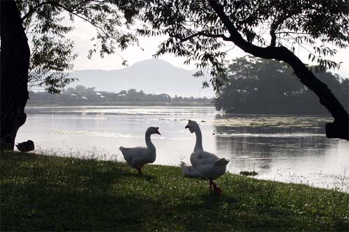 Lake Ezu in autumn