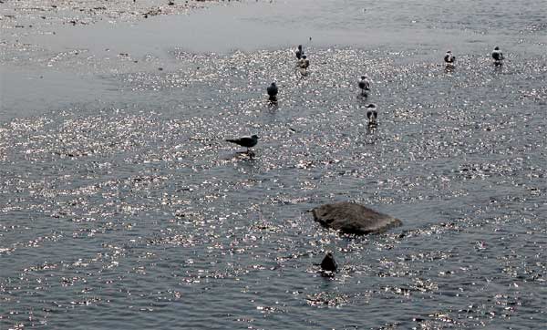 Lake Ezu in Early Spring