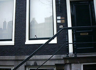 Pingu's head office "Pingu B.V."