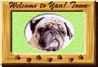YAN! Town へようこそ
