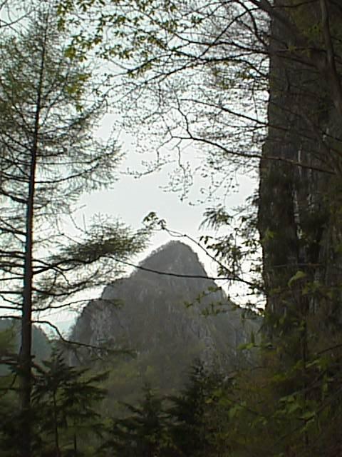 BARADAGIの撮影旅行