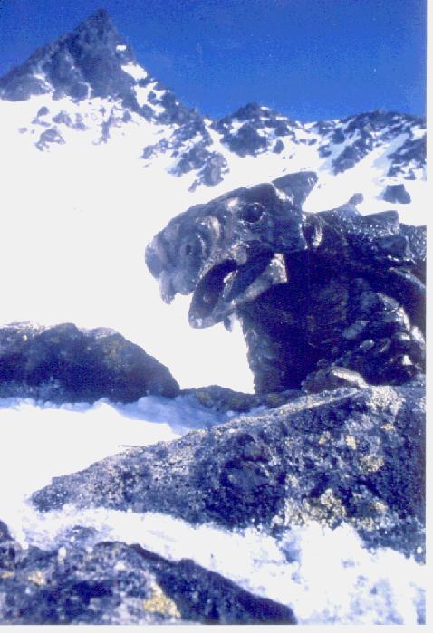 BARADAGIの撮影旅行